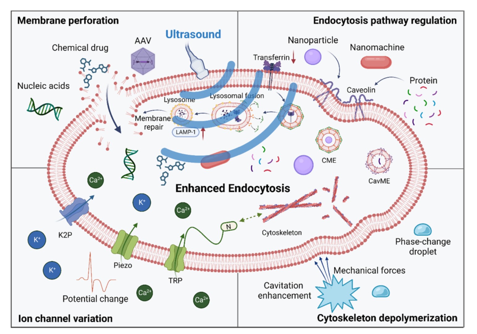 霍帅东课题组-The Huo Lab